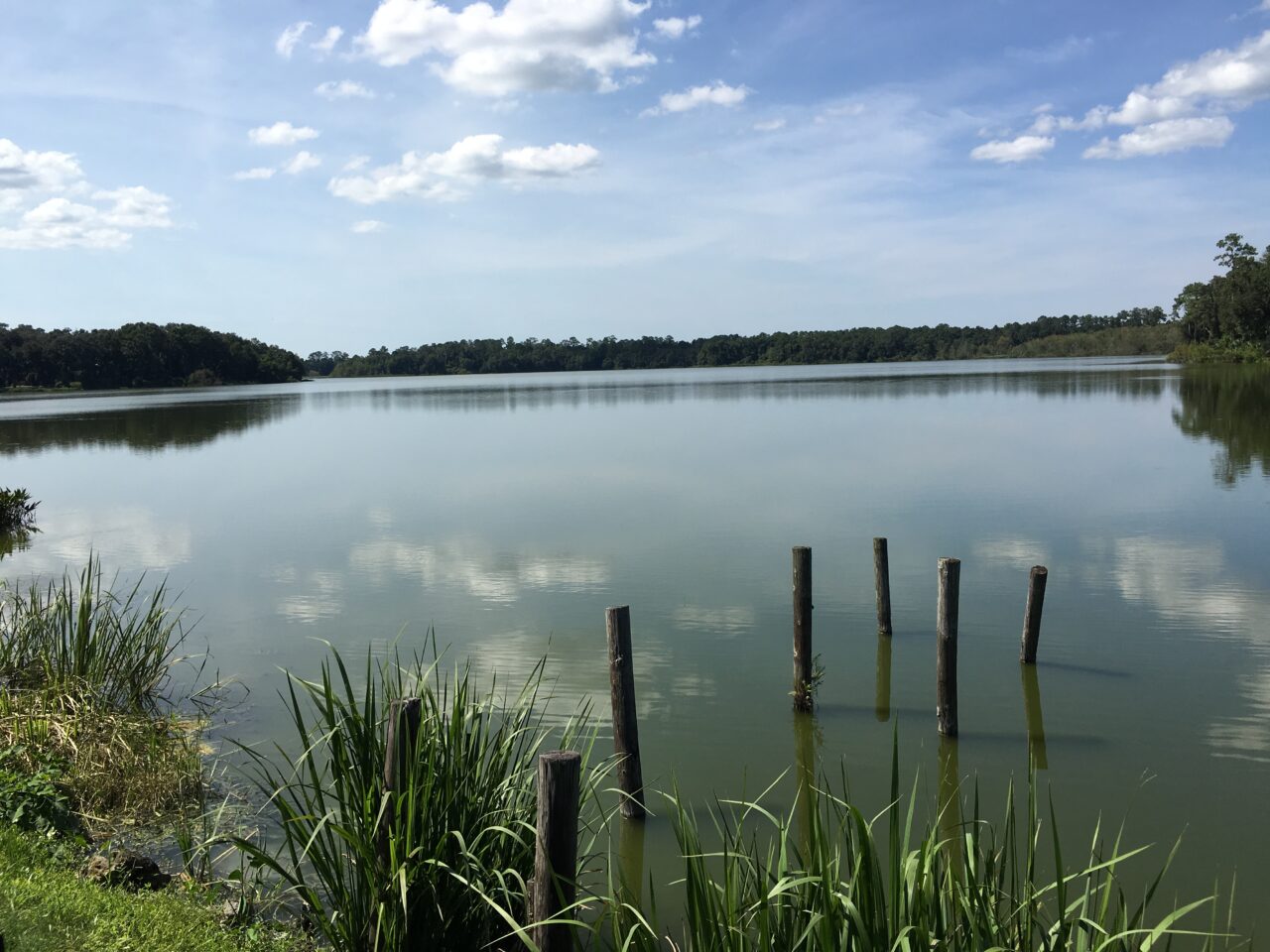 Why We Do It | Gainesville Creeks