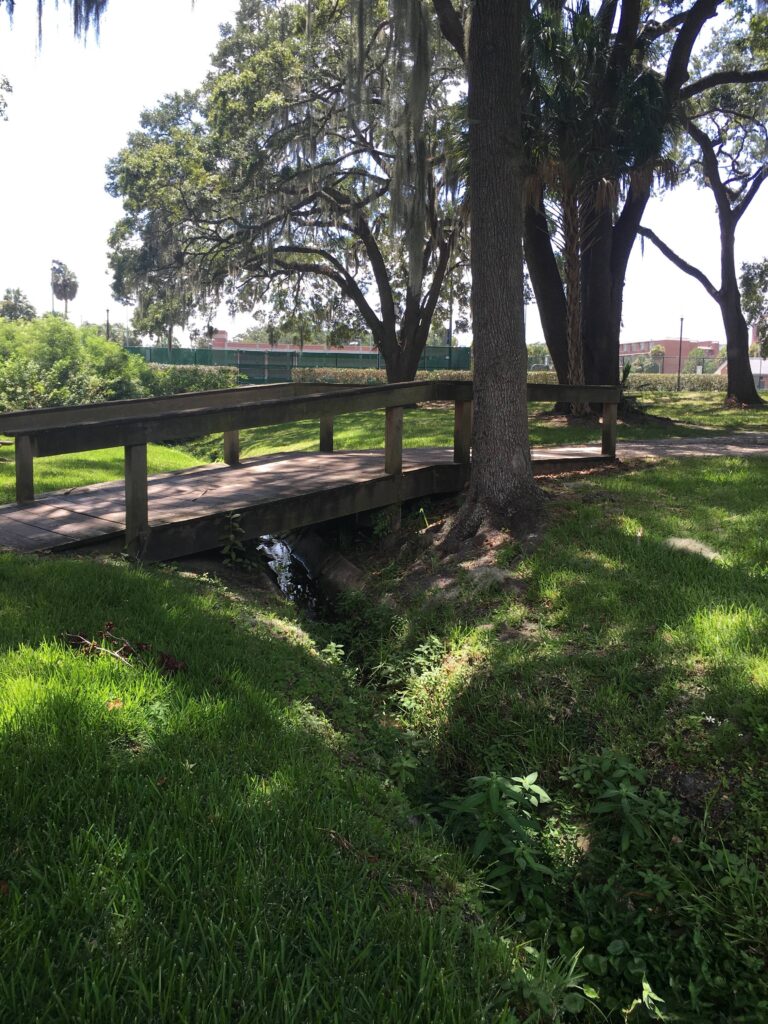 CW Lake Alice - Gainesville Creeks