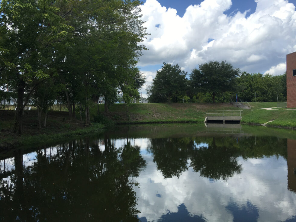 CW Lake Alice - Gainesville Creeks