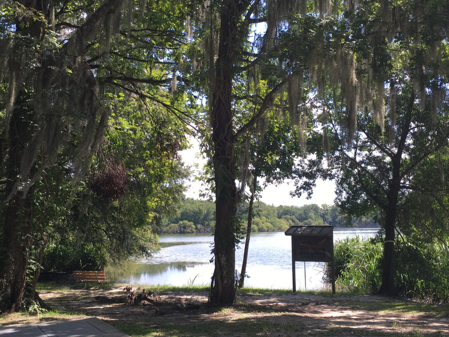 CW Lake Alice | Gainesville Creeks