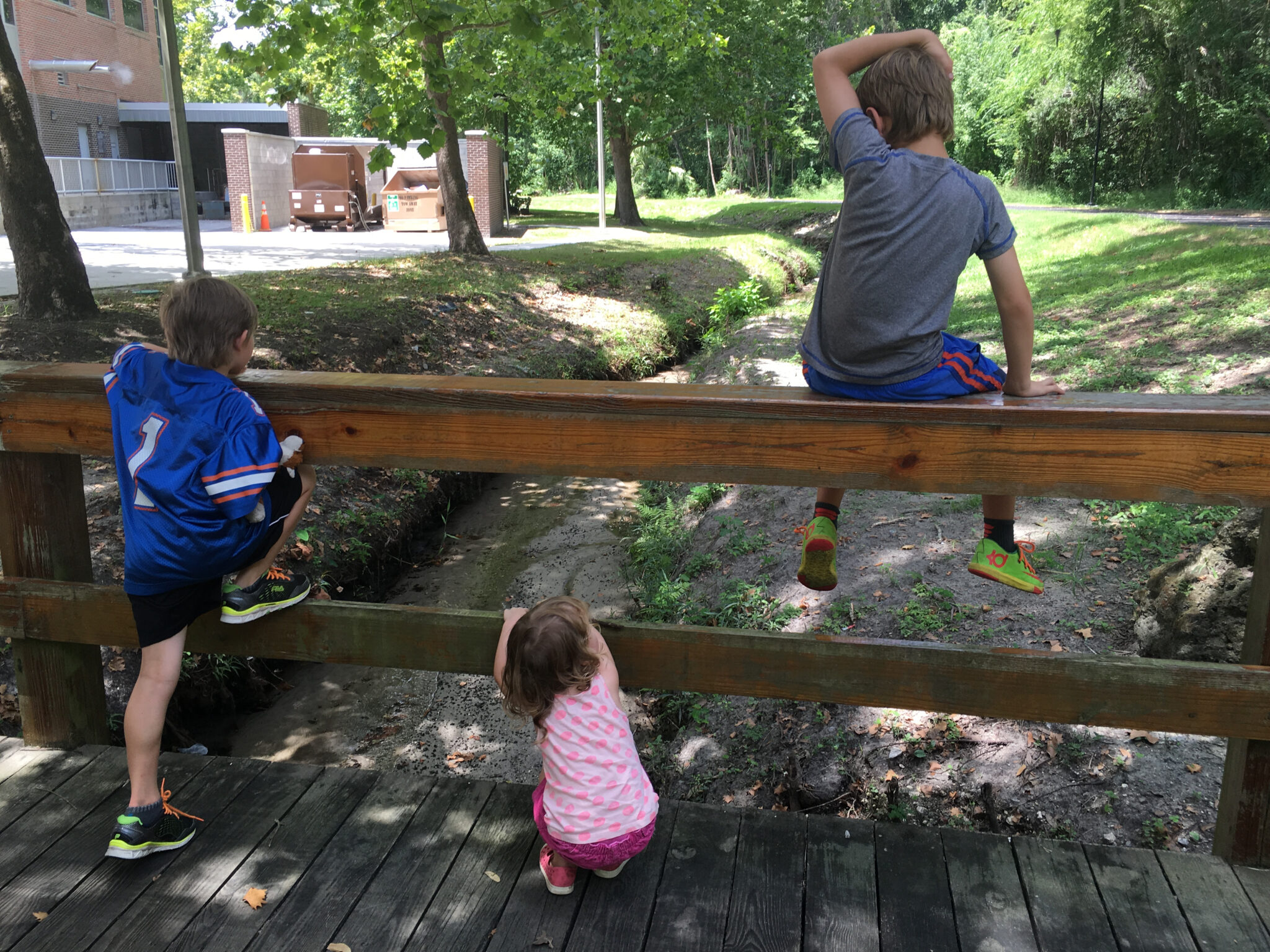 CW Lake Alice | Gainesville Creeks