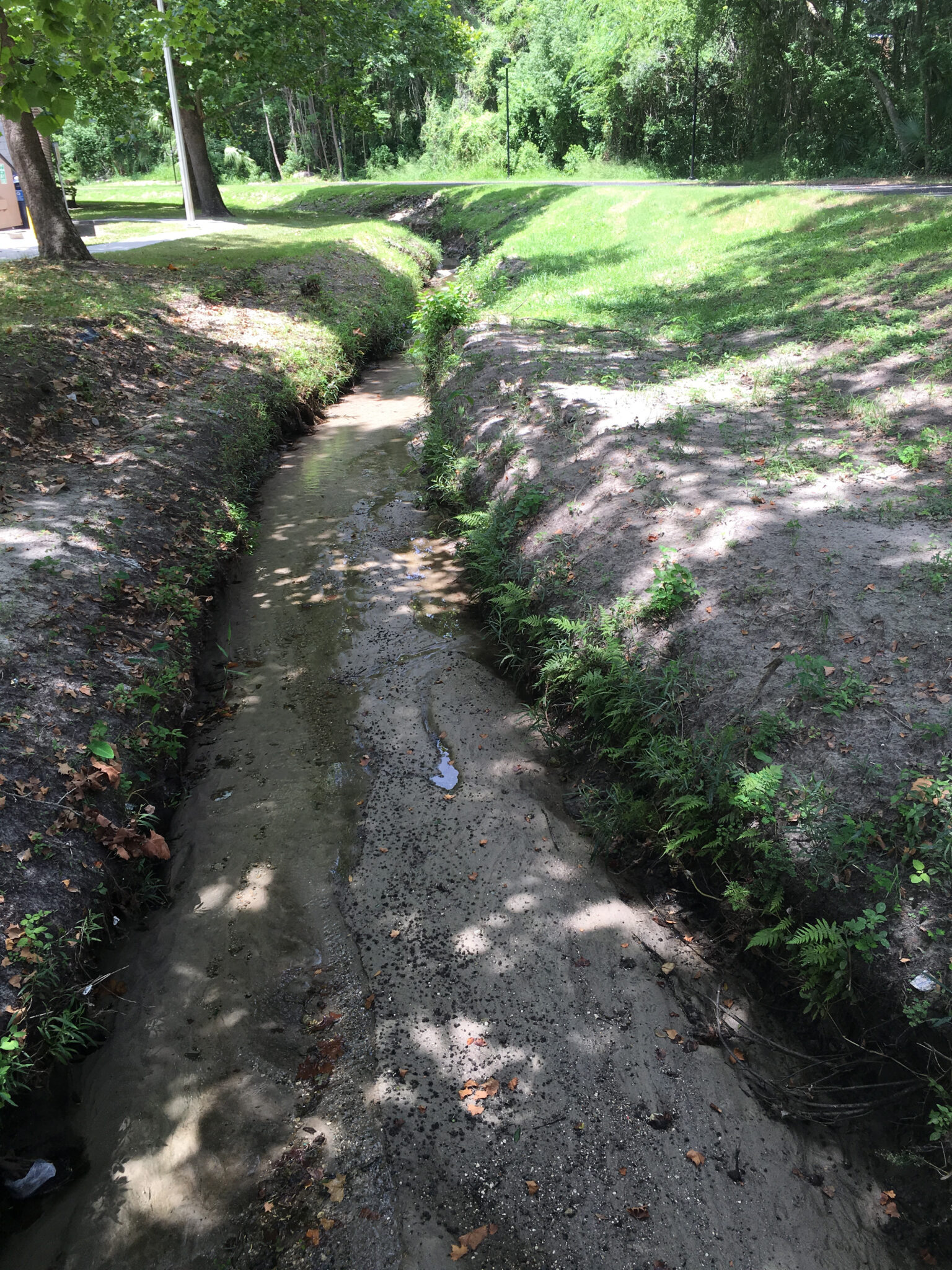 CW Lake Alice | Gainesville Creeks