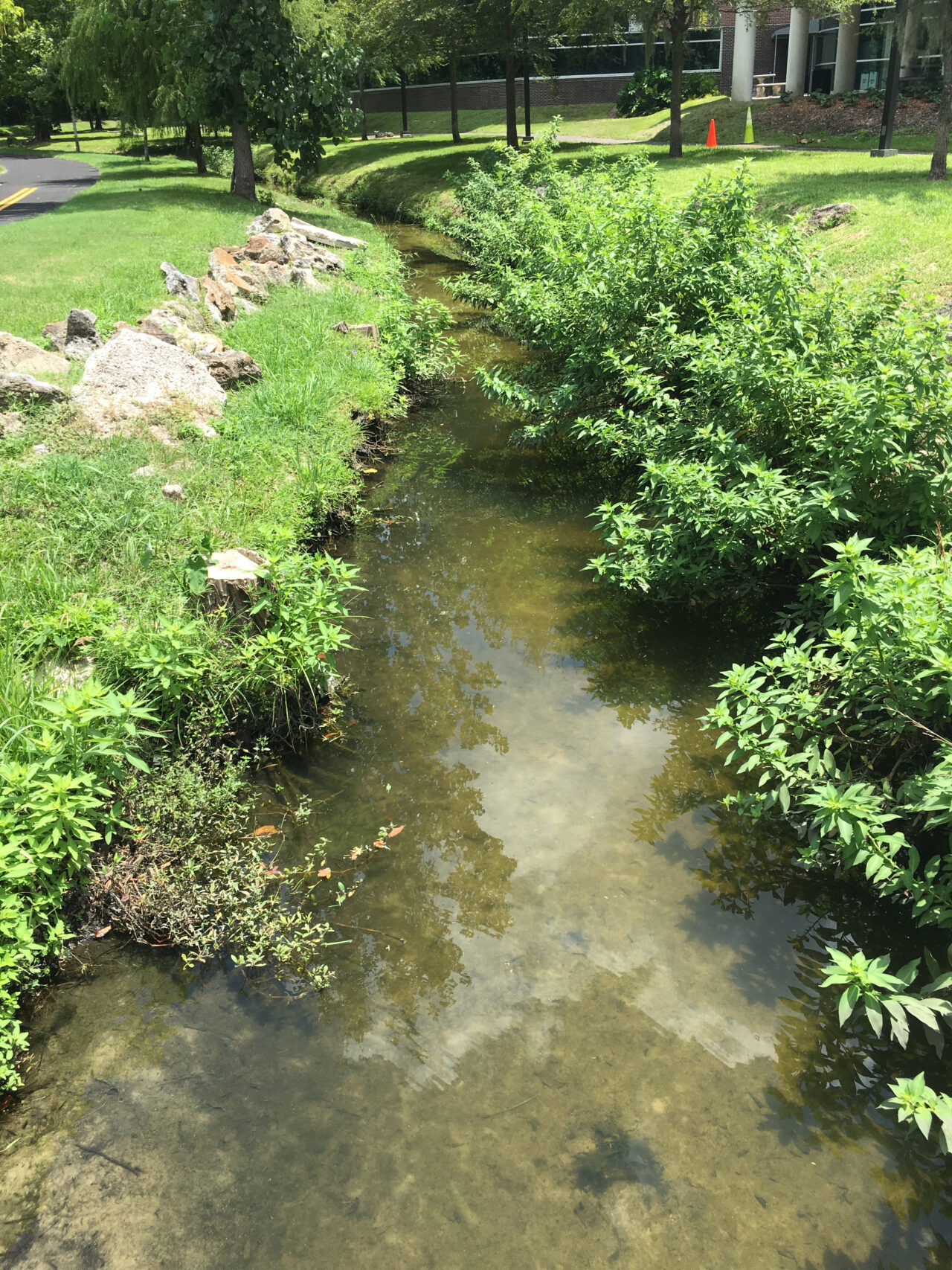 CW Lake Alice - Gainesville Creeks