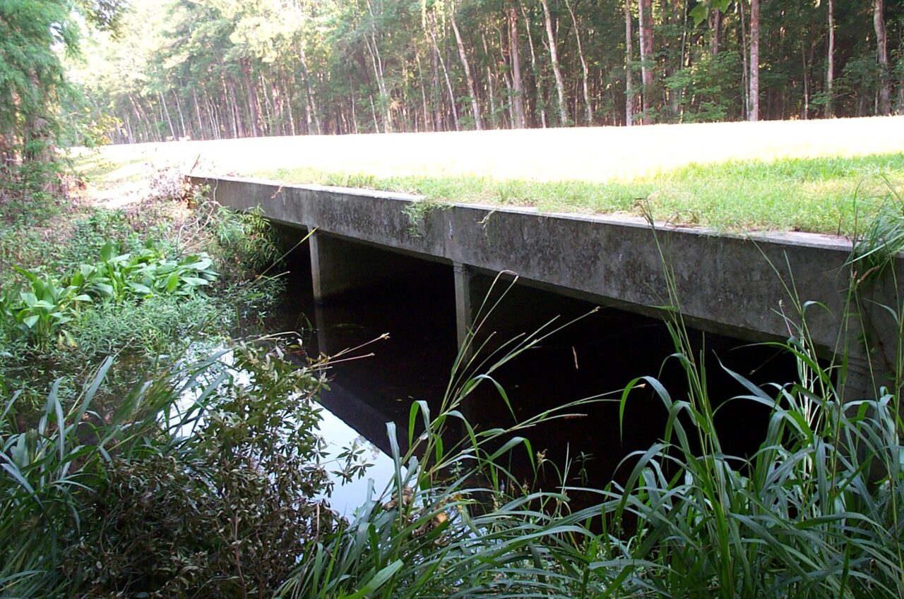 CW Little Hatchet Creek | Gainesville Creeks